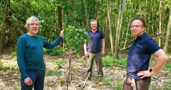 Klimaatbestendig bosbeheer: logische maatregelen met een stevige urgentie - Klimaatadaptatie ...