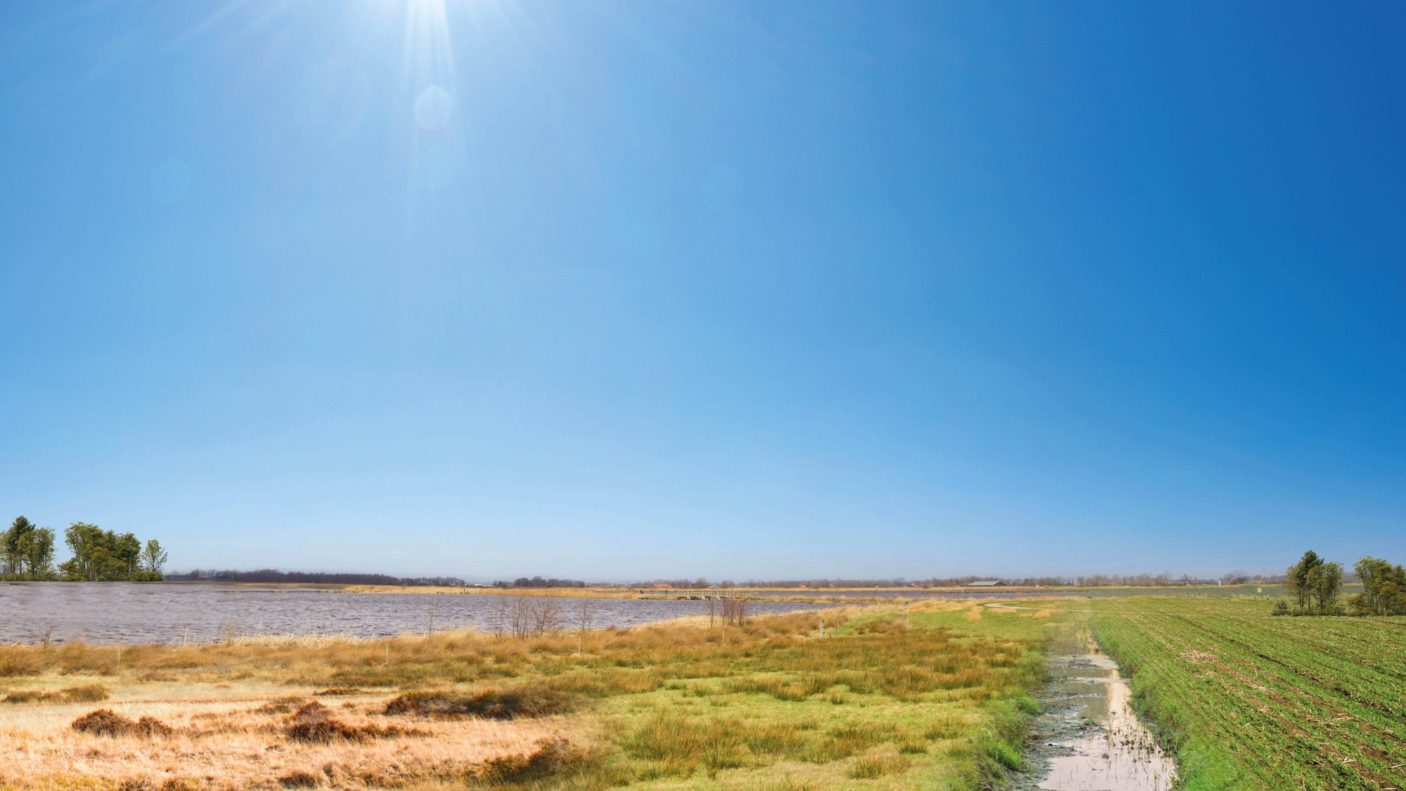 Klimaatverhaal toont mogelijkheden om Brabants grondwater te laten ...